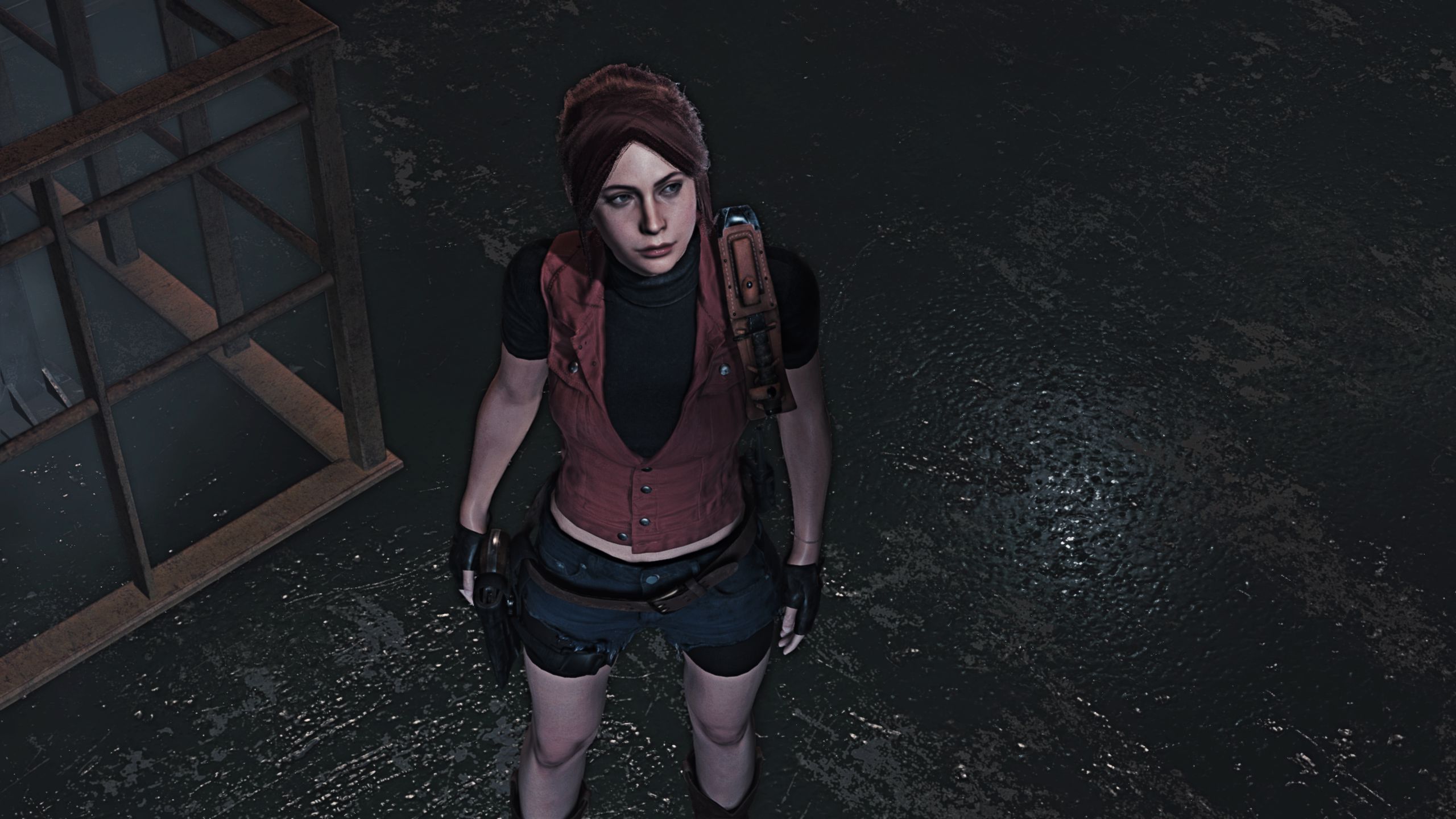 Darkside Chronicles Claire - Classic New Edition - Resident Evil 2 ...