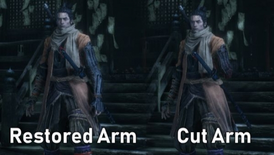 Restored Arm and Cut Arm Mod - Sekiro: Shadows Die Twice Mods